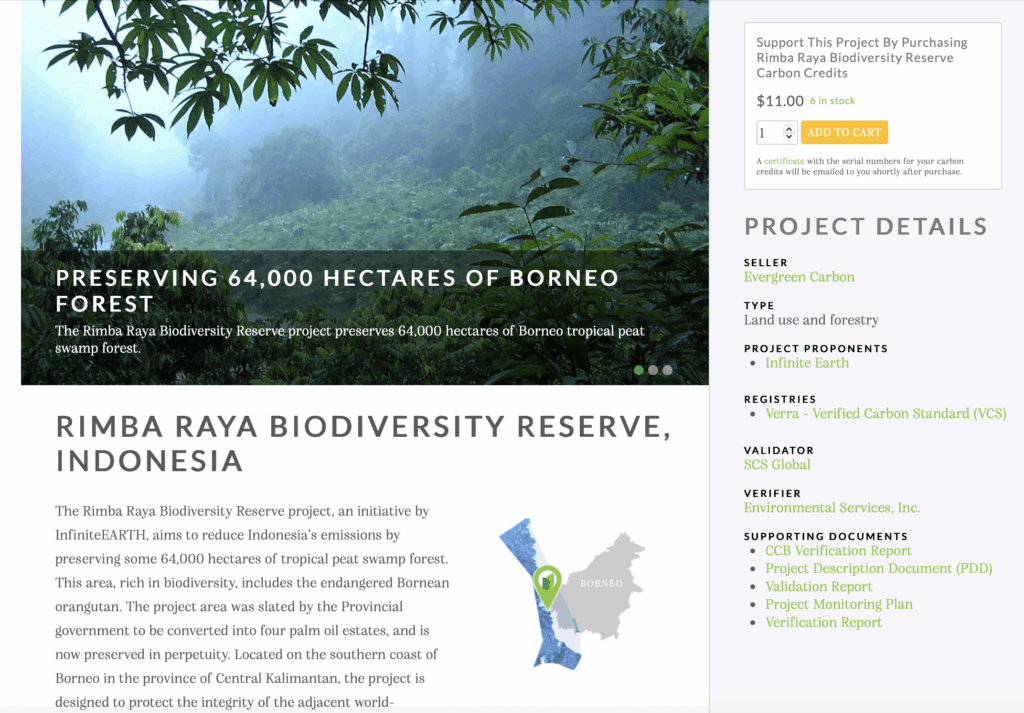 A Climate Startup Story: EcoSoul Partners | Culture Foundry